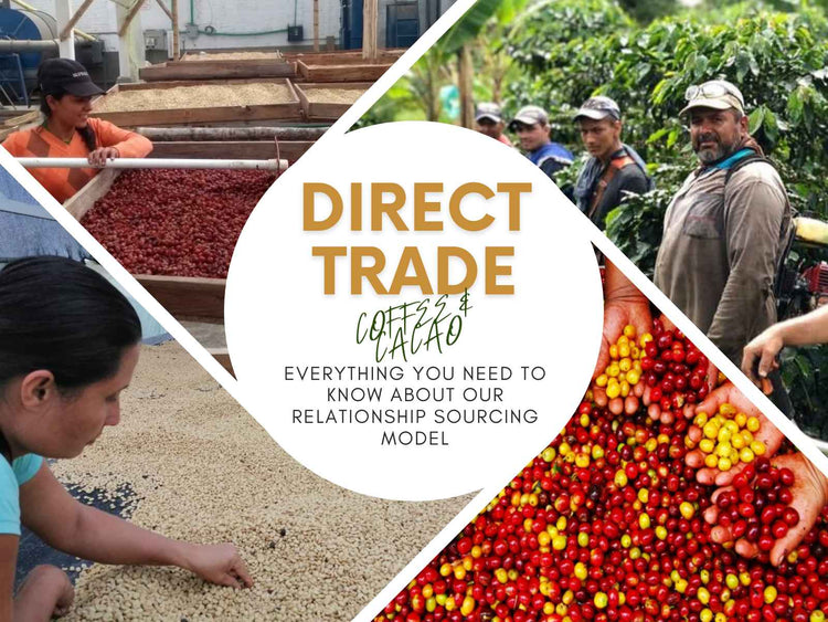 Everything You Need to Know About Direct Trade Relationship – COLOMBINO ...