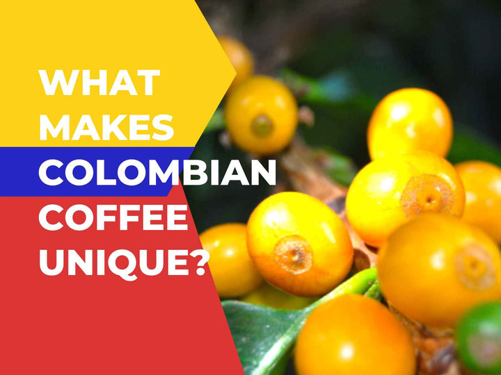 Colombino Coffee and Cacao – COLOMBINO COFFEE & CACAO